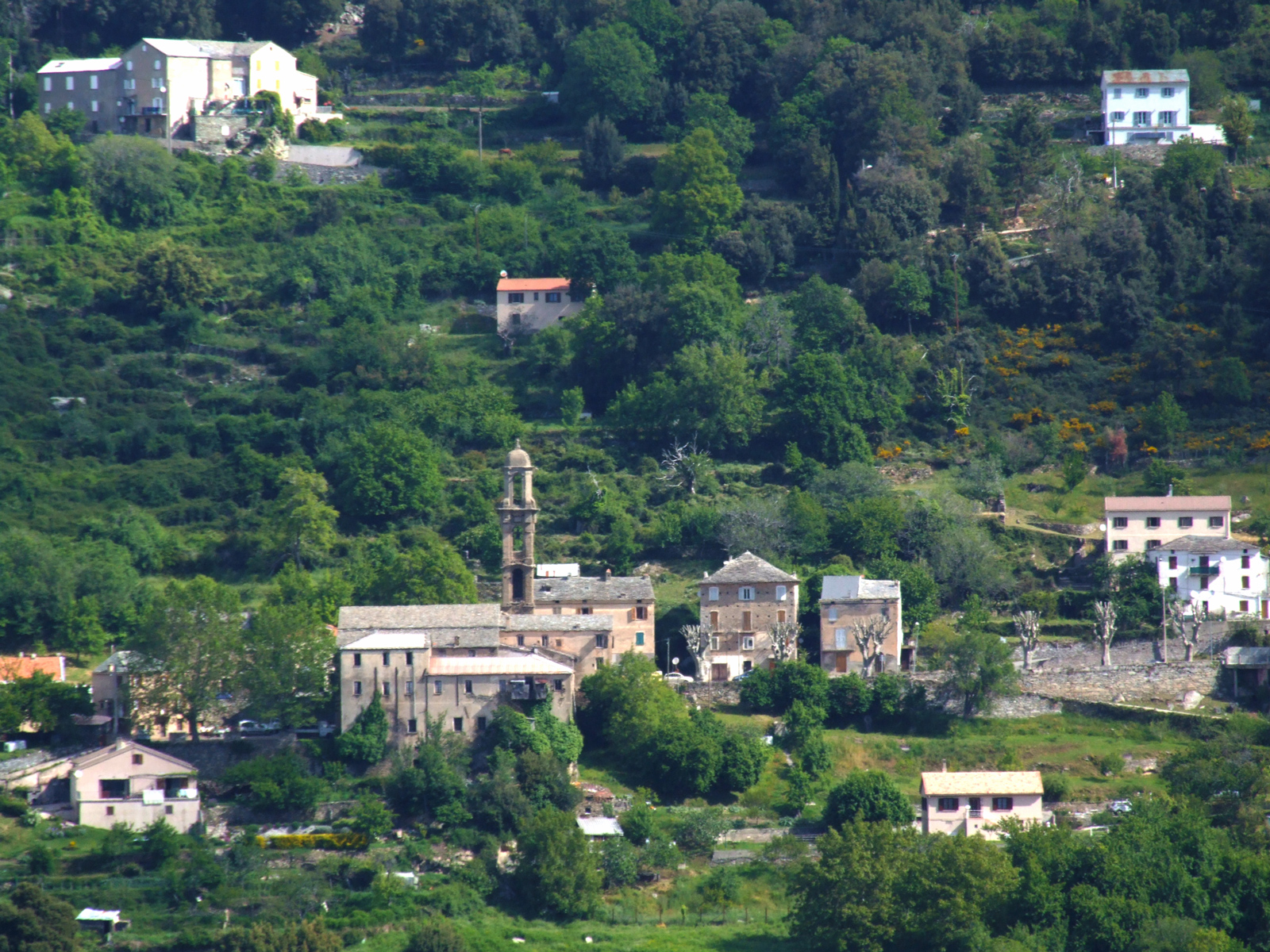 Morosaglia - Nuvellaghju 2025