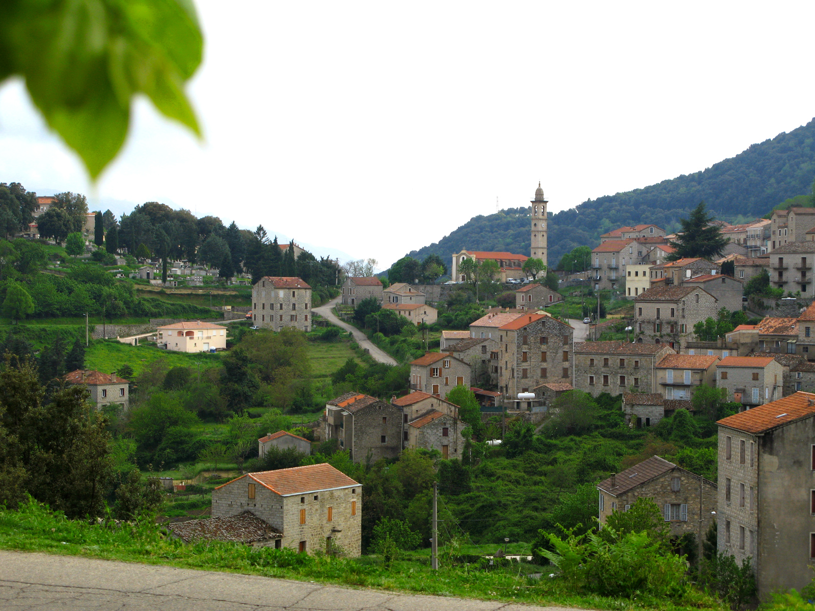 Levie - Nuvellaghju 2025