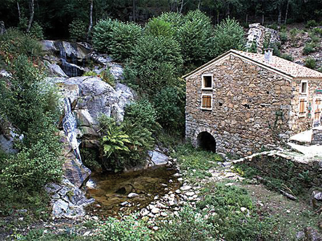 Rezza - Nuvellaghju 2025