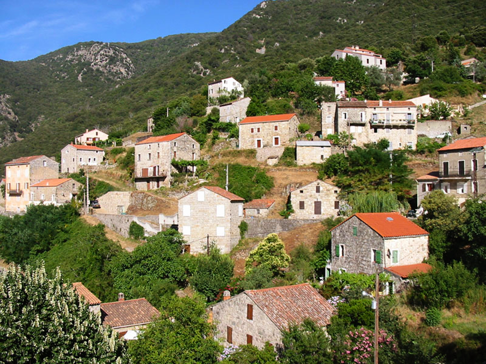 Zoza - Nuvellaghju 2025