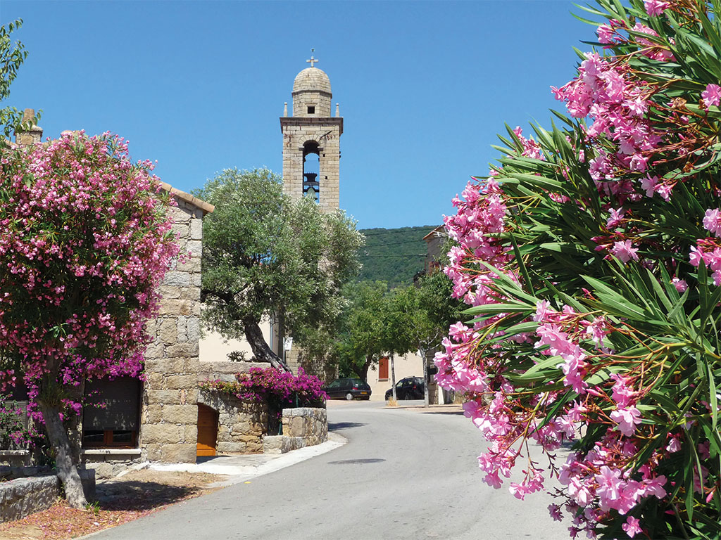 Monacia d'Aullène - Nuvellaghju 2025